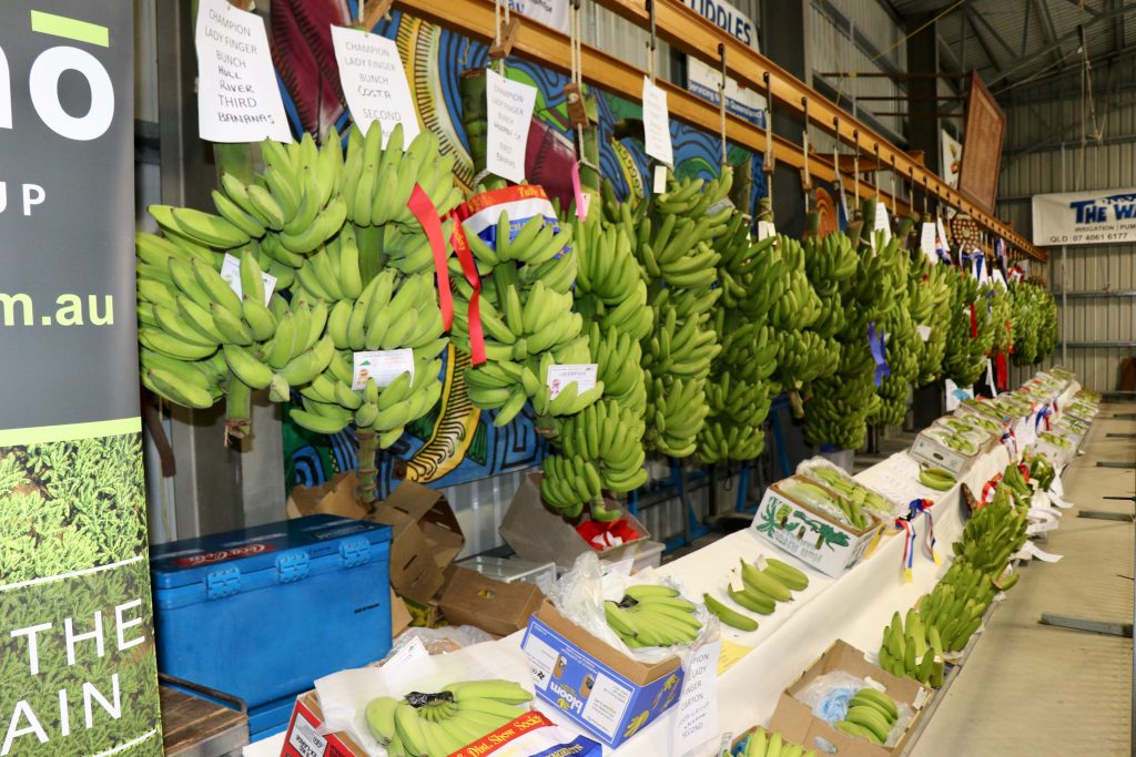 IMG_2908 | Australian Banana Growers
