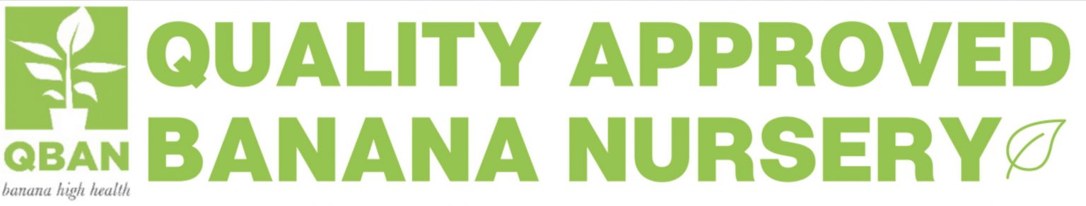 QBAN | Australian Banana Growers