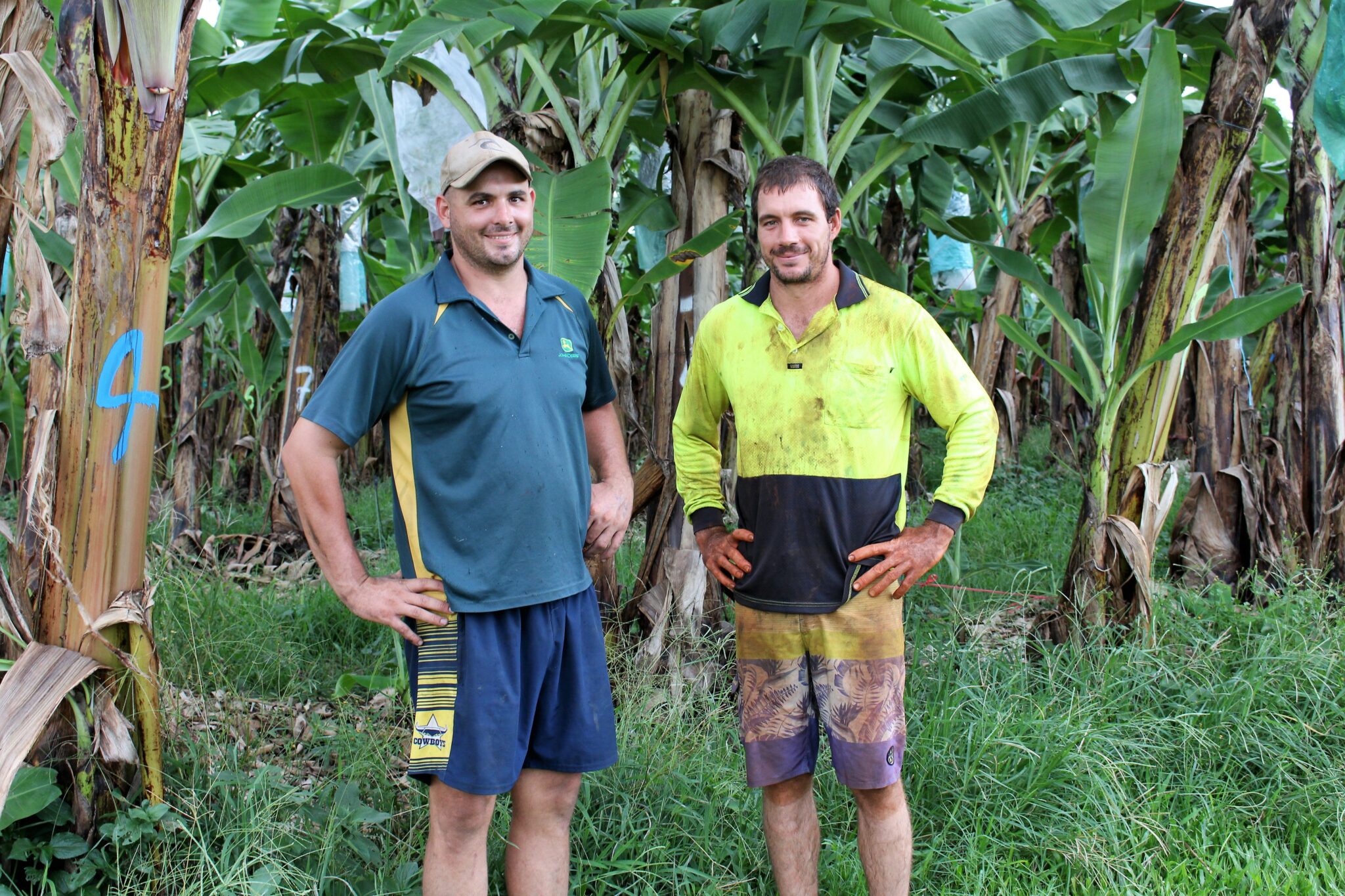 About The ABGC | Australian Banana Growers