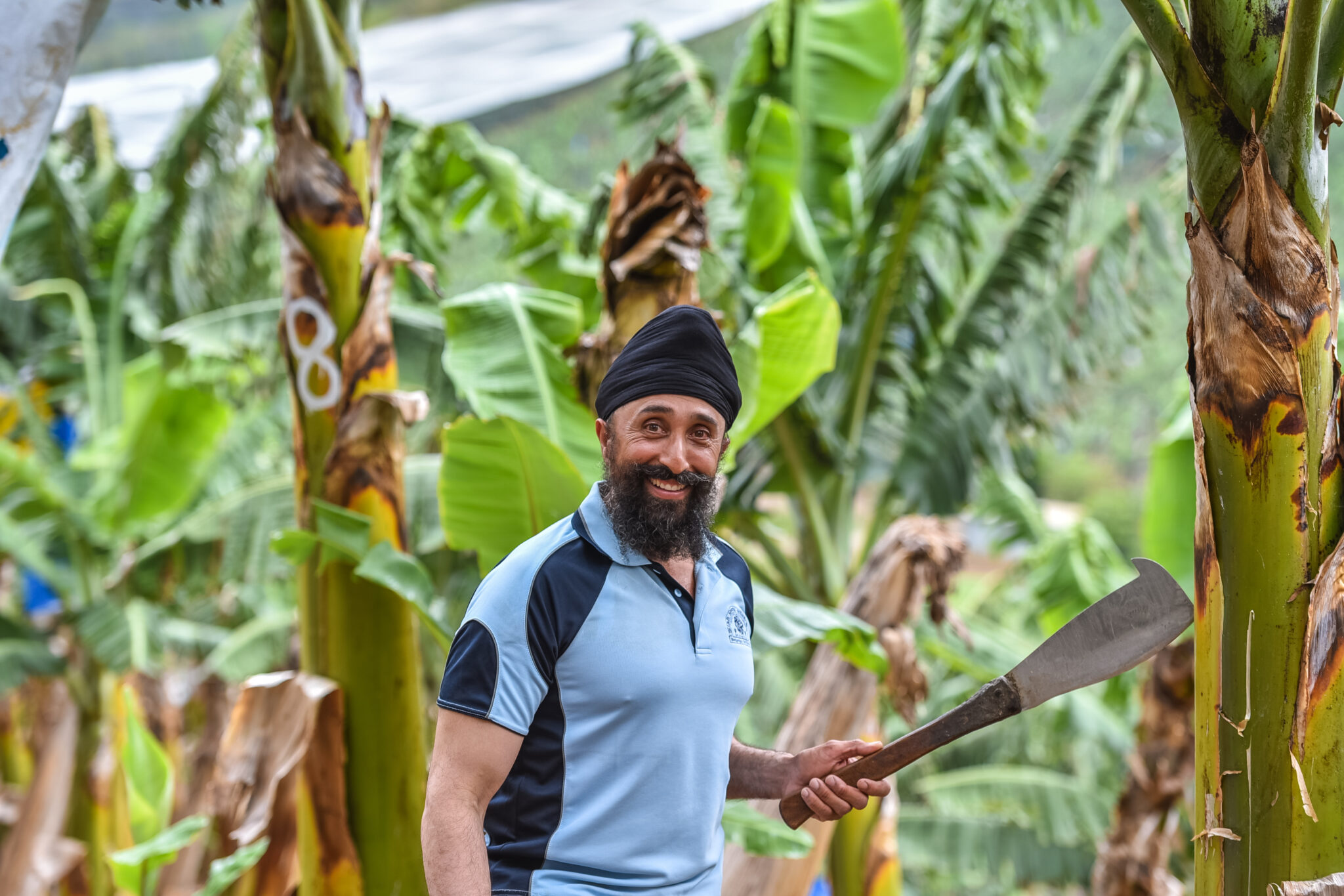 Australian Banana Growers' Council (ABGC)