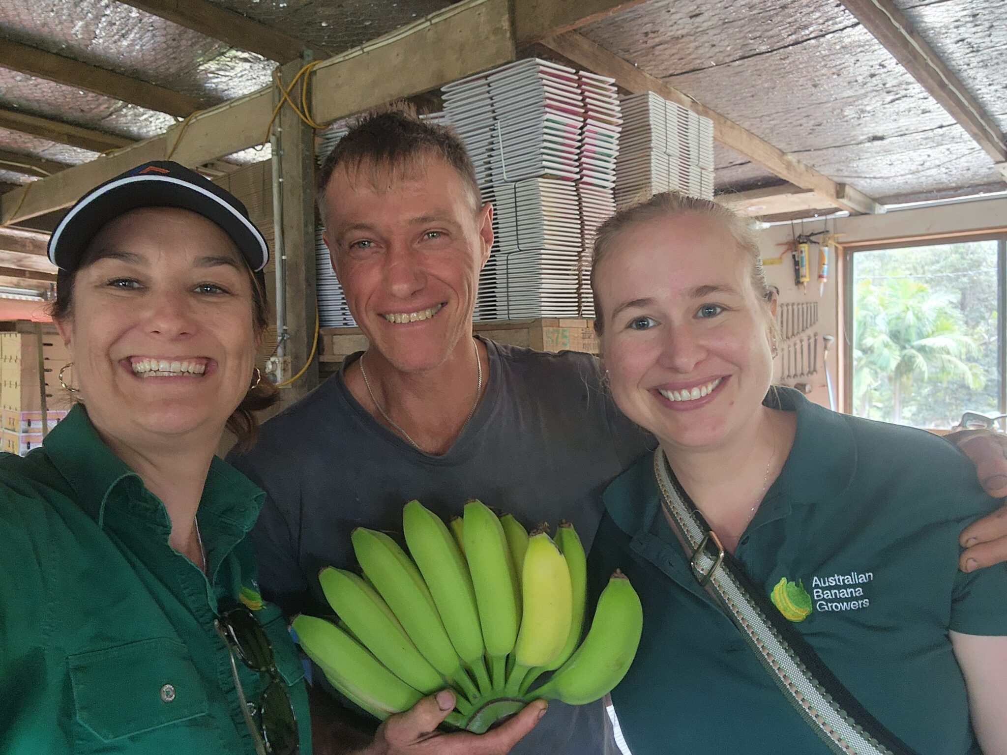 Membership | Australian Banana Growers
